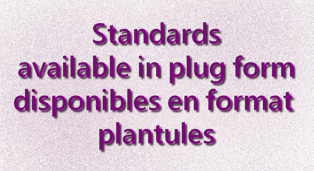 Standards (plugs) – bloomlovers.com